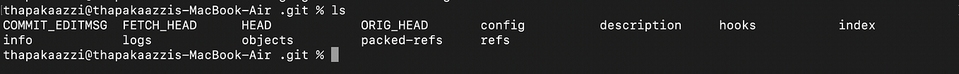 Automatically Generate Restful Api Documentation In Golang By Santosh