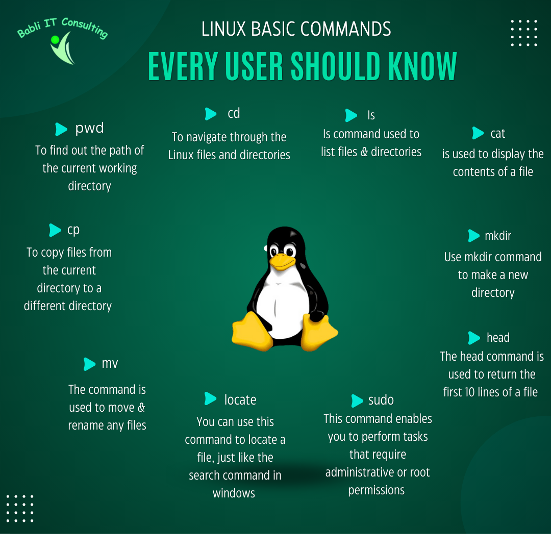 Unlock Your Potential with Babli IT Consulting | by Babli IT Consulting ...