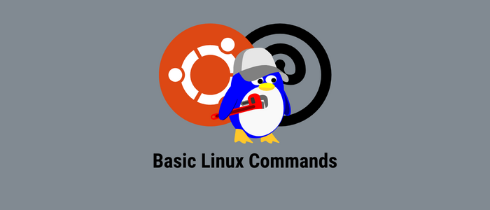 Mastering MongoDB Commands: Unleashing the Power of NoSQL | Medium
