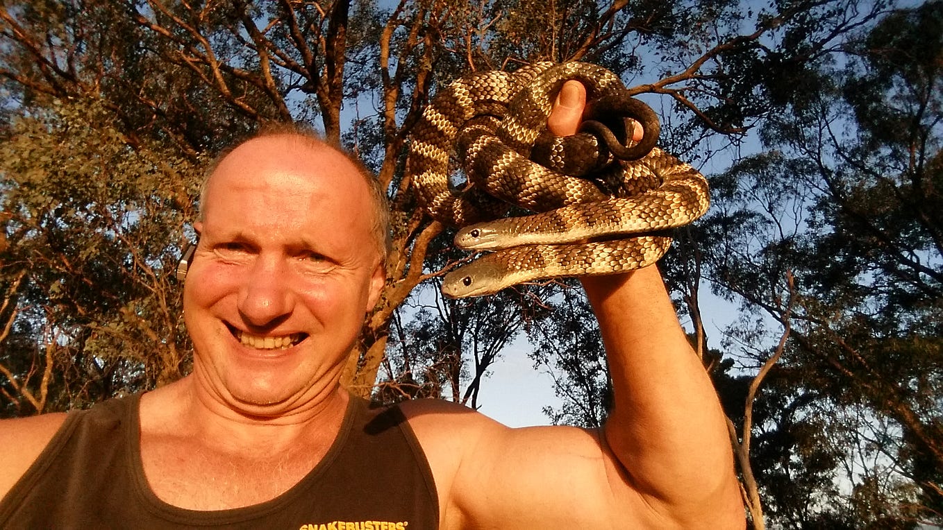 Snake Catcher. As the Snake catcher in Melbourne… | by Snakeman | Medium