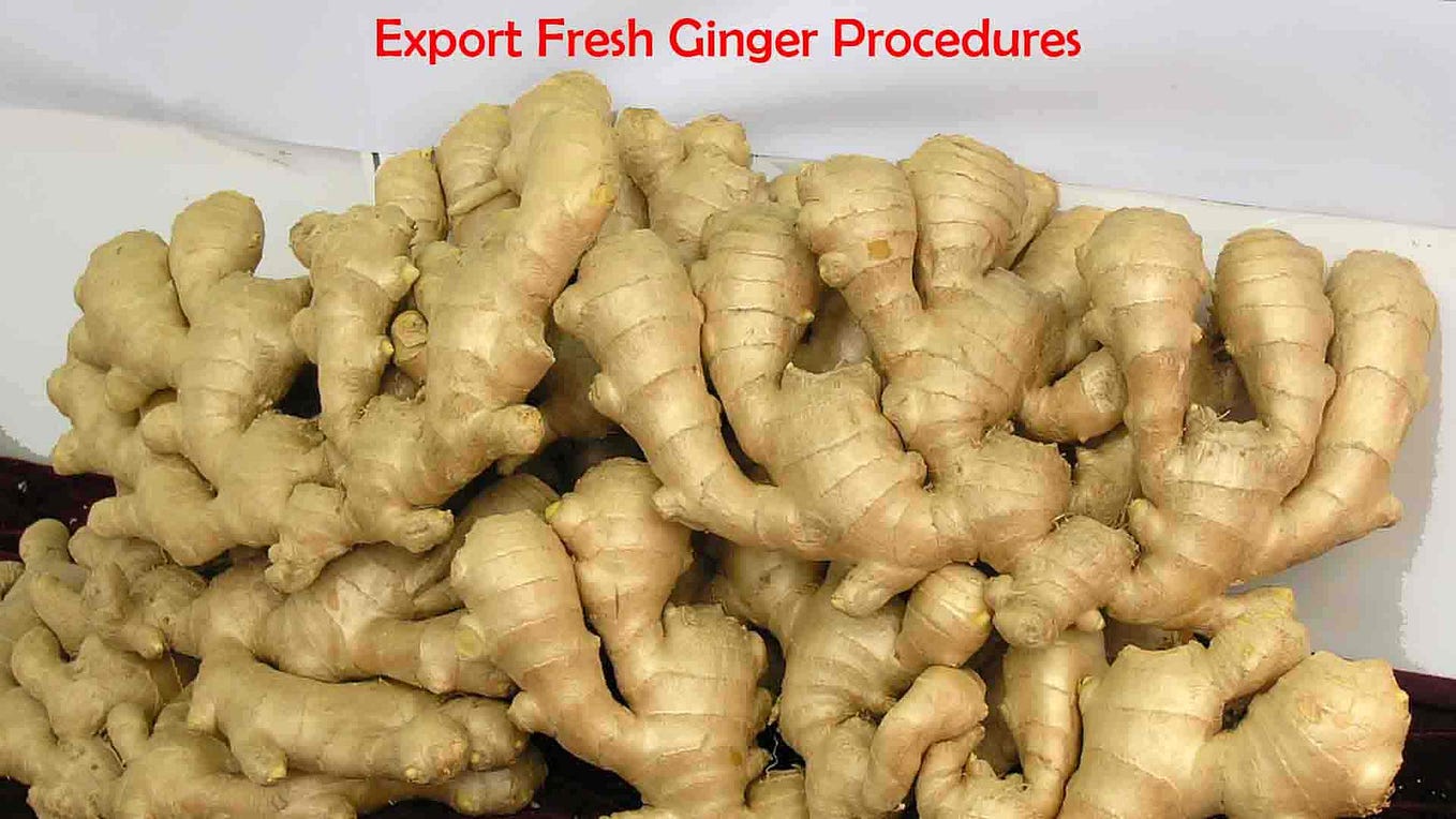 Fresh Ginger Export Documentation: A Comprehensive Guide | by Export ...