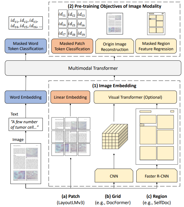 Part 2: Implementing LayoutLMv3 from Scratch | by Michael DSouza | Medium