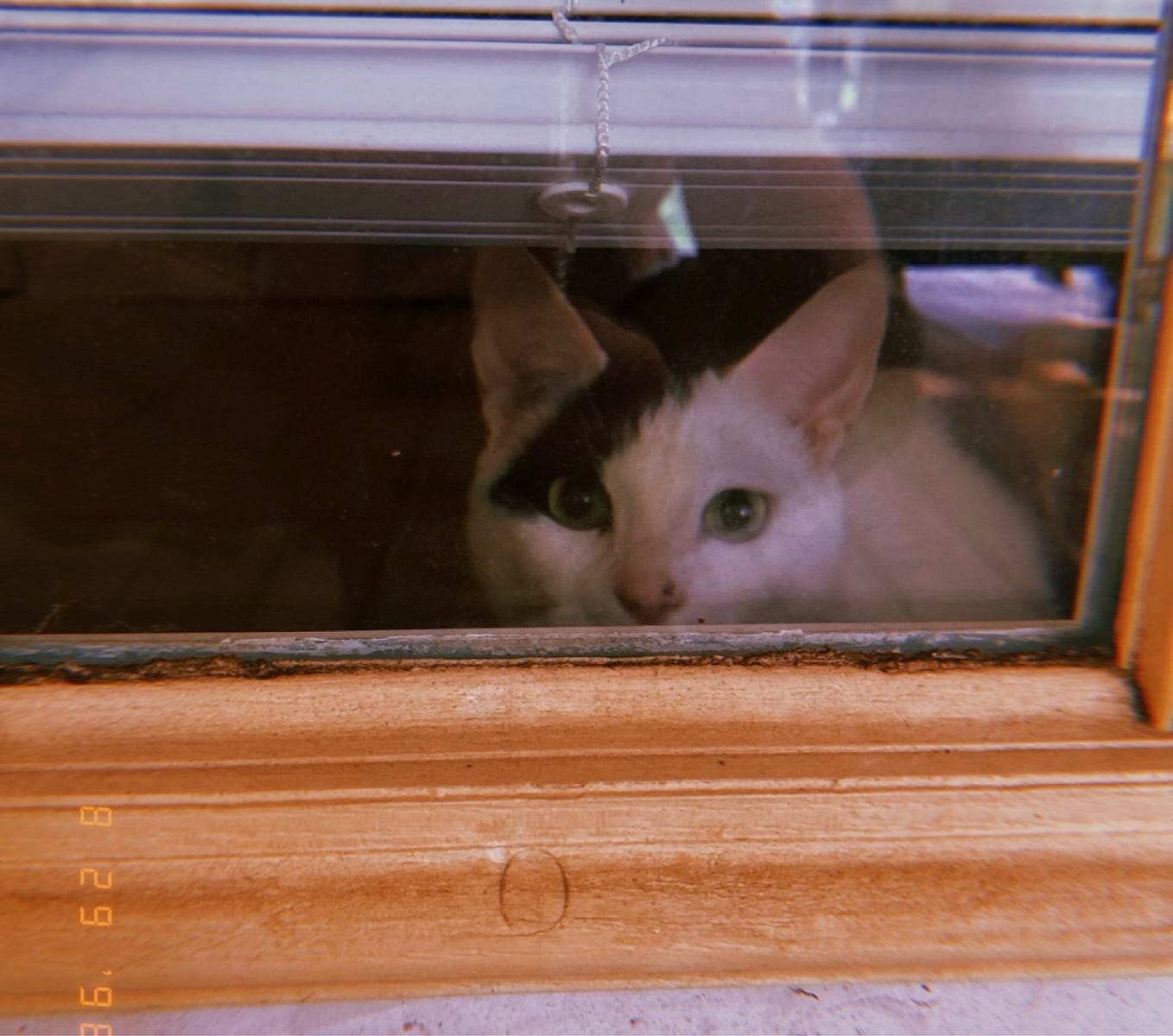 What is the Purpose of Poetry?. Is the brain hardwired to embrace or ...