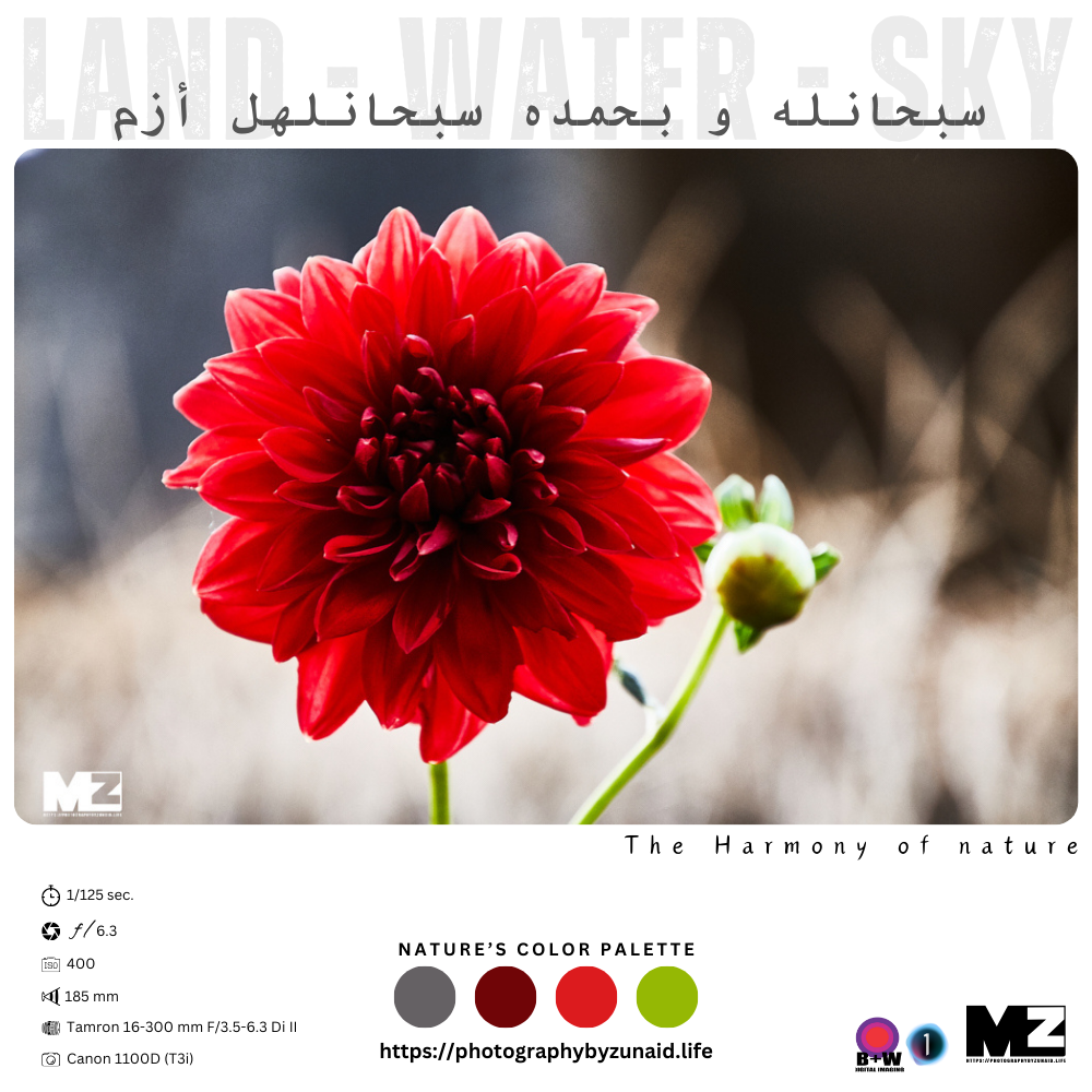 Nature Color Palette #26 - Mohamed Zunaid - Medium