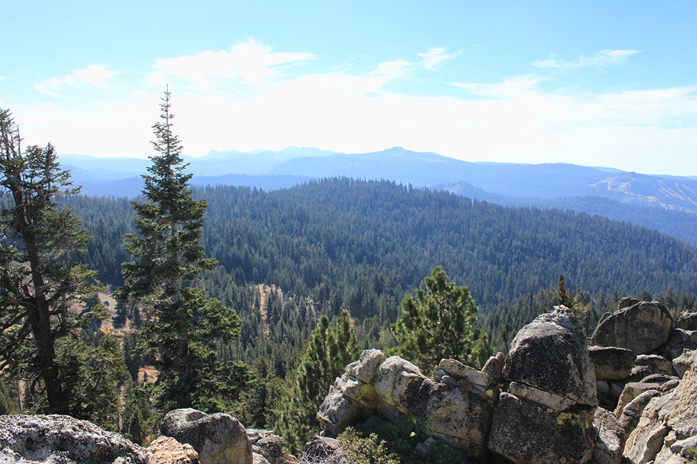 Building A Location Finder App Powered by the Google Maps JavaScript API | by Alex Dzwonchyk ...