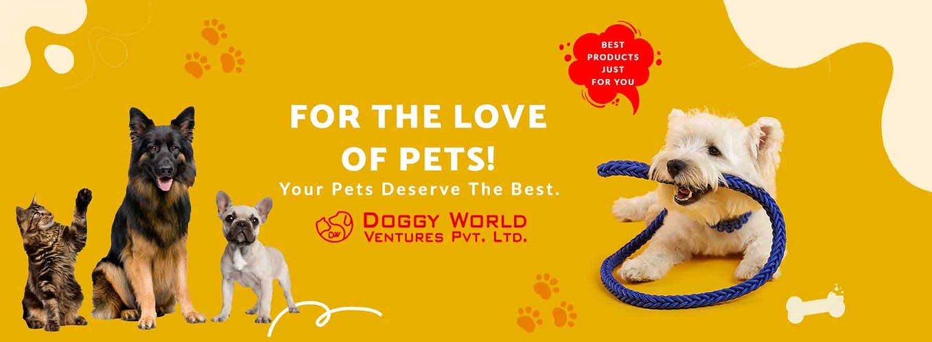 Pet Hospital in Delhi. The creatures likewise require a decent… | by ...