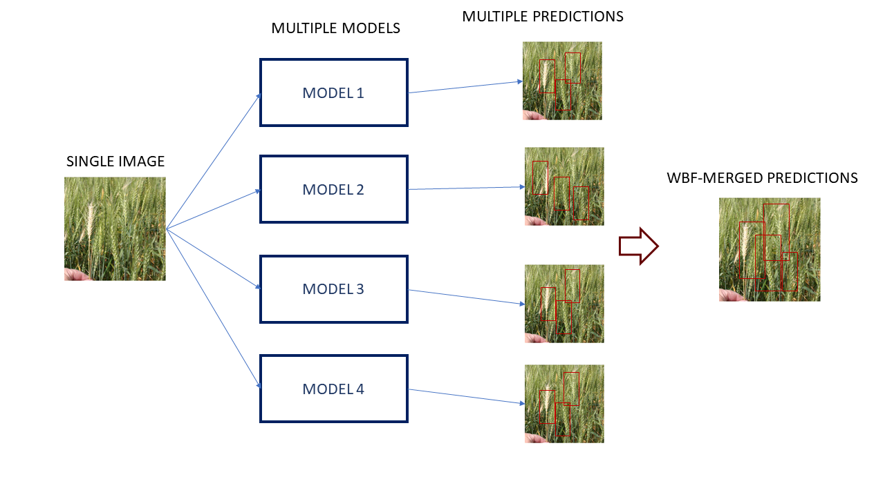 Numpy on GPU/TPU. Make your Numpy code to run 50x faster. | by Sambasivarao. K | Analytics ...