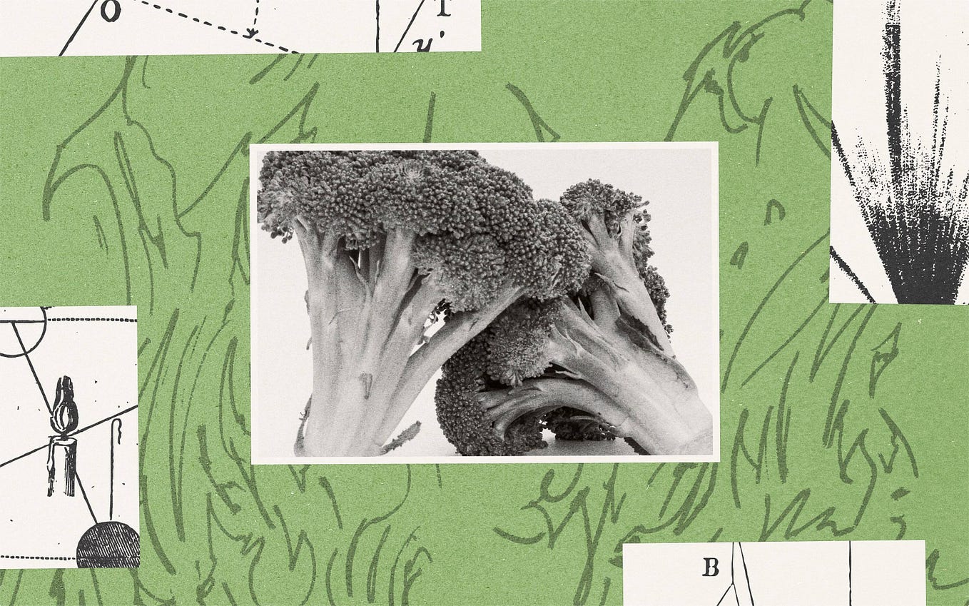 The Evolution of Smartphone Photography | by Sourajit Saha | Medium