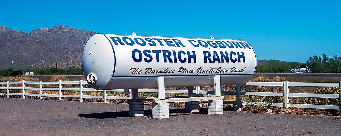 Unveiling the Legacy of Cochise: A Towering Figure in Native American ...