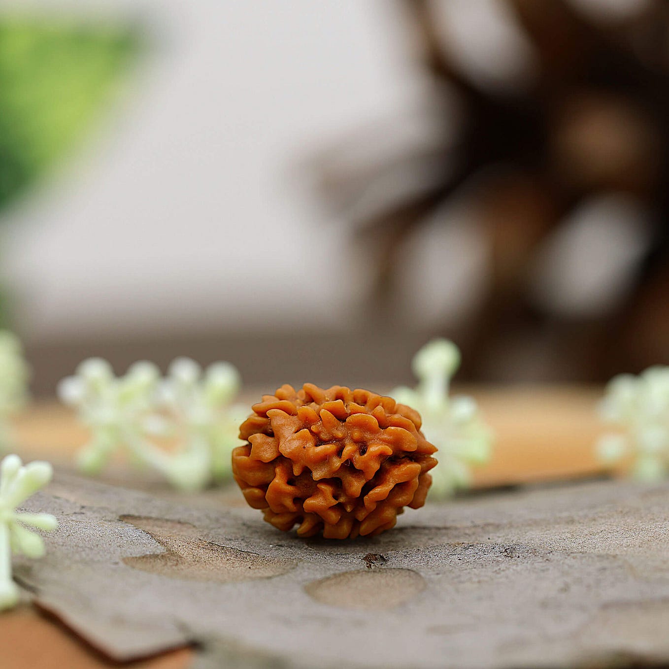 The Seven Mukhi Rudraksha: Benefits, Power & How to Wear It | by Shayan ...