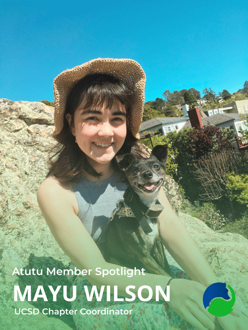 People of Atutu: Ayush Sapra. Welcome back! Since we want to showcase… | by Hao-in Choi | Medium