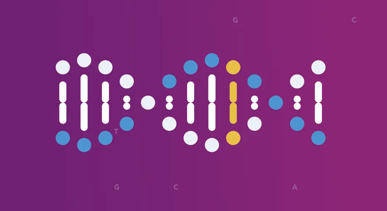 Designing the New 23andMe Homepage | by 23andMe | Medium