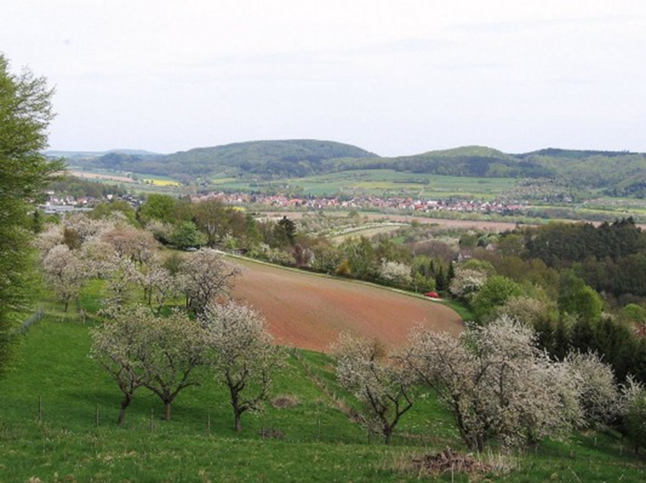 What are landscape approaches and how are they applied? | by Mario ...