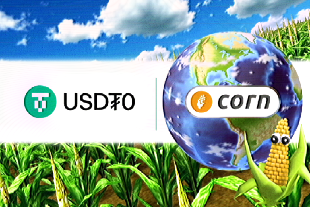 Corn: The Genesis of The Super Yield Network | by Corn | Corn