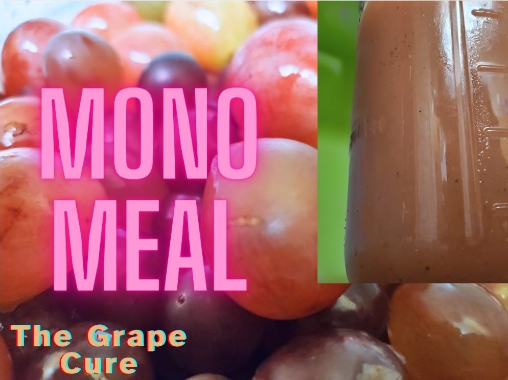 Revolutionizing The Falafel. Chickpeas where? The Birth Of… | by Hudima ...