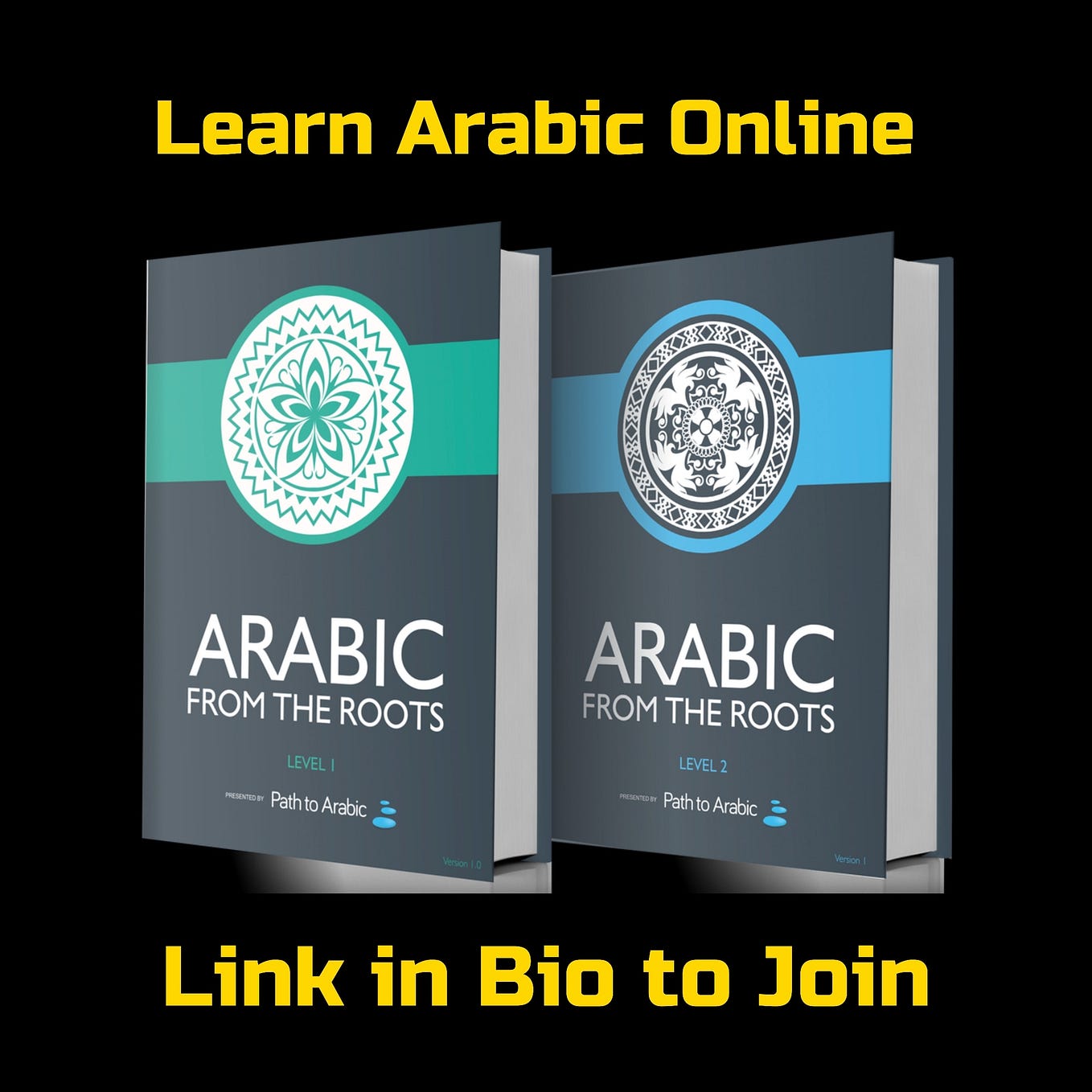 Learn Arabic and/or EARN Money promoting the program to people that ...