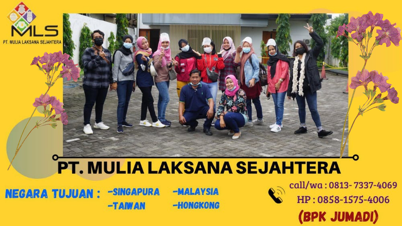 penyalur tenaga kerja indonesia Hongkong, 0813 7337 4069, agen tki ...