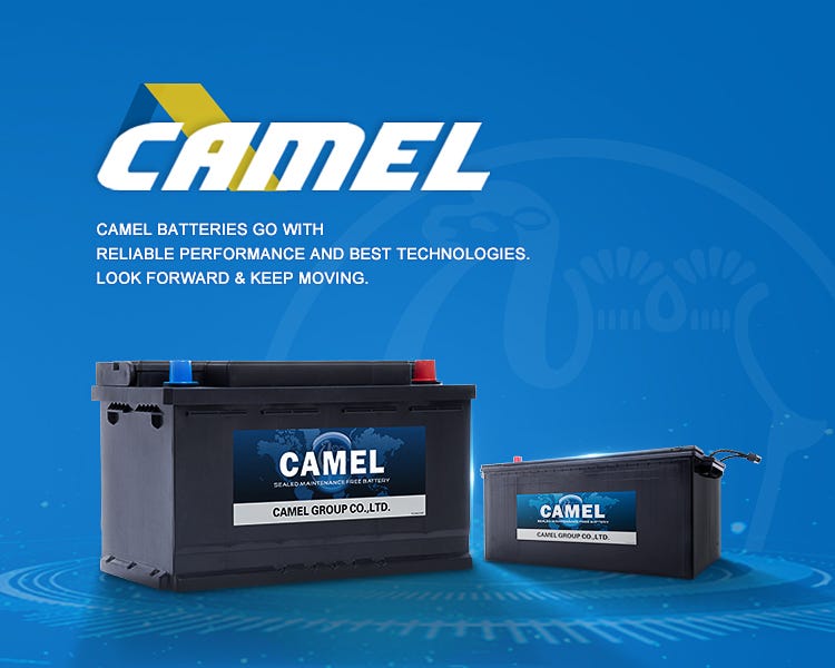 How Automotive Starter Battery Works? | by Camel Group | Medium