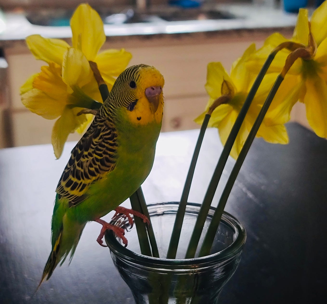 Migrating Postgresql Standalone Instance To Aurora Amazon Rds By Pavel Tsiukhtsiayeu Medium