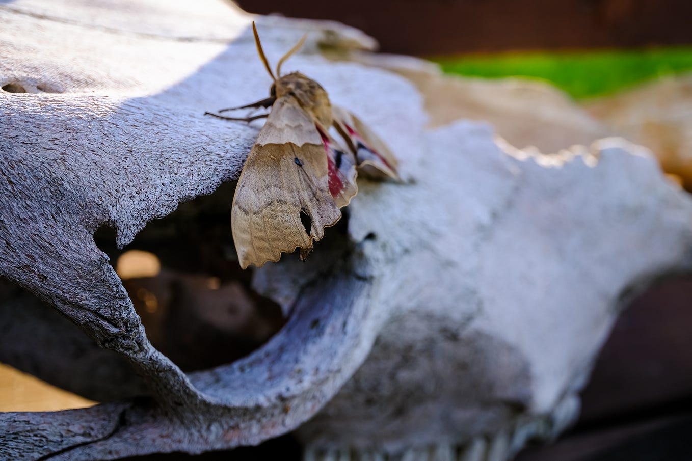 An Ode to the Frontier. The propeller slowly began to turn as… | by Sam ...