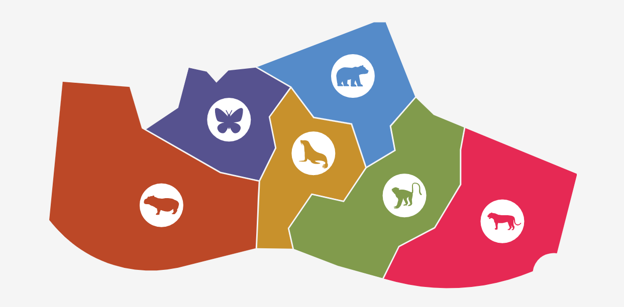 Css Image Map Rollover