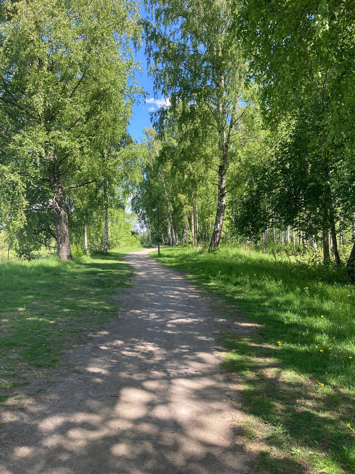 How To Make The Most Of Annotating PDFs With OneNote | by David Trejo ...