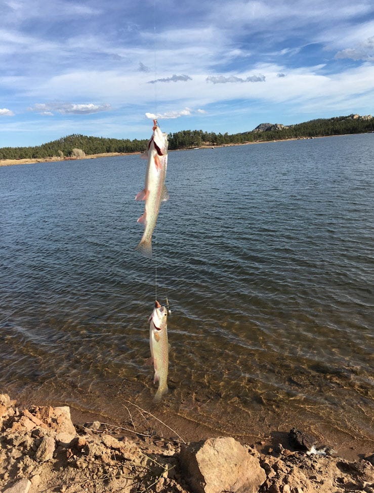 5 Herping Locations You Need to Visit | by Sadie Stalker | The Aggie ...