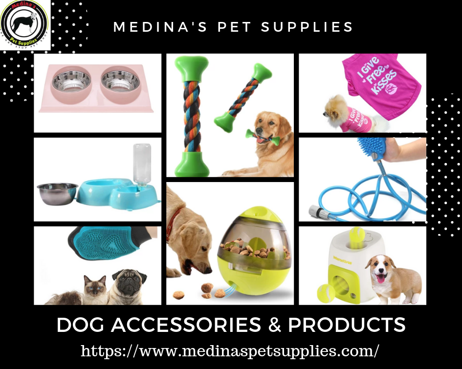 Dog Accessories & Products. As an pet supplier we provide Dog… | by ...
