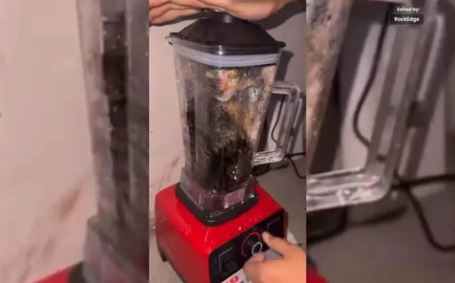 Watch Ice Spice leak video Leaked Viral on social media In the heart of ...