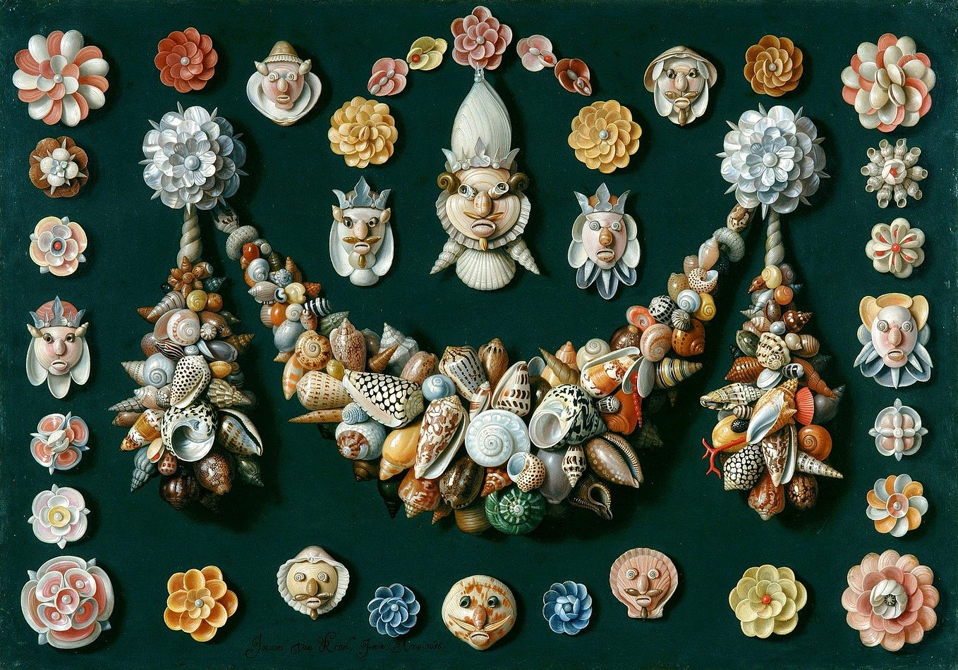 Merian’s Metamorphosis. A closer look at the art and science of… | by ...