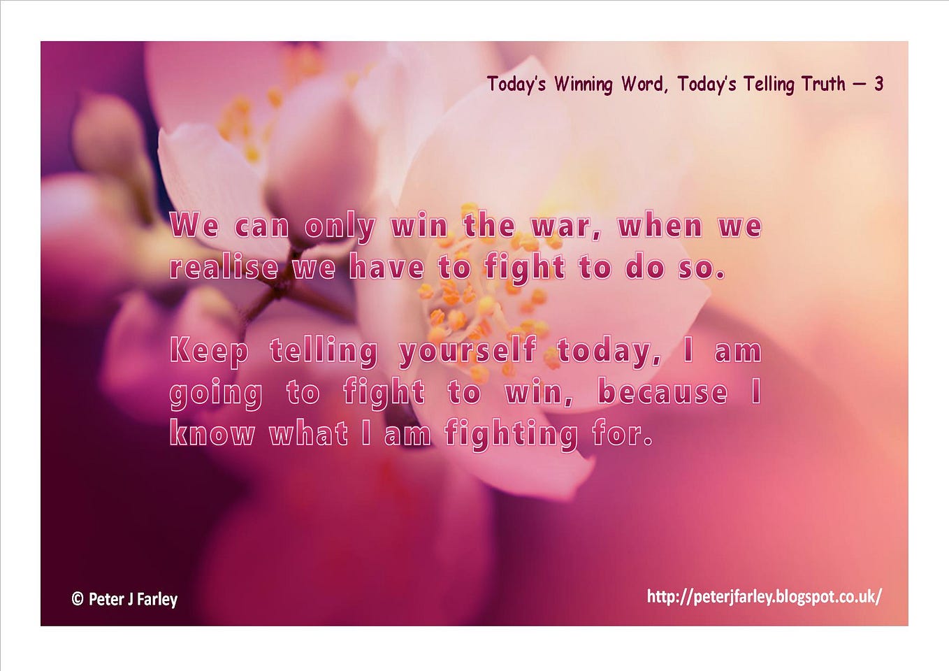 FIGHTING TALK — WINNING WORDS, TELLING TRUTHS 1 | by Peter J Farley ...
