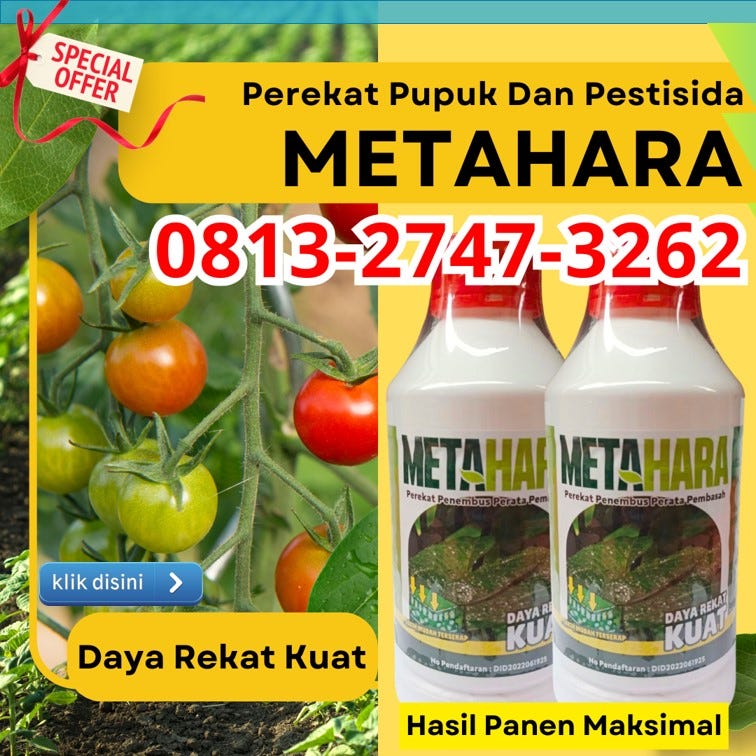 RAMAH LINGKUNGAN! 0813–2747–3262, TOKO Perekat Herbisida Ngasem ...