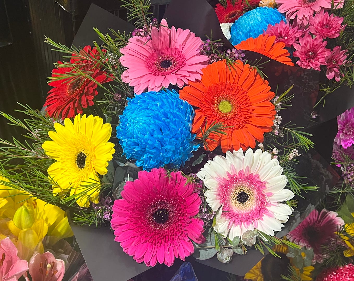 “Bloom” Six Words & a Photo: January Conclusion | by Sandi Parsons ...