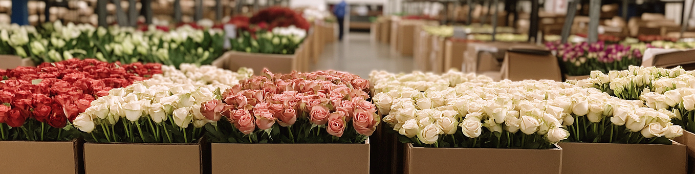Top 5 Best Florists in Tulsa, OK. Tulsa, Oklahoma, is known for its ...