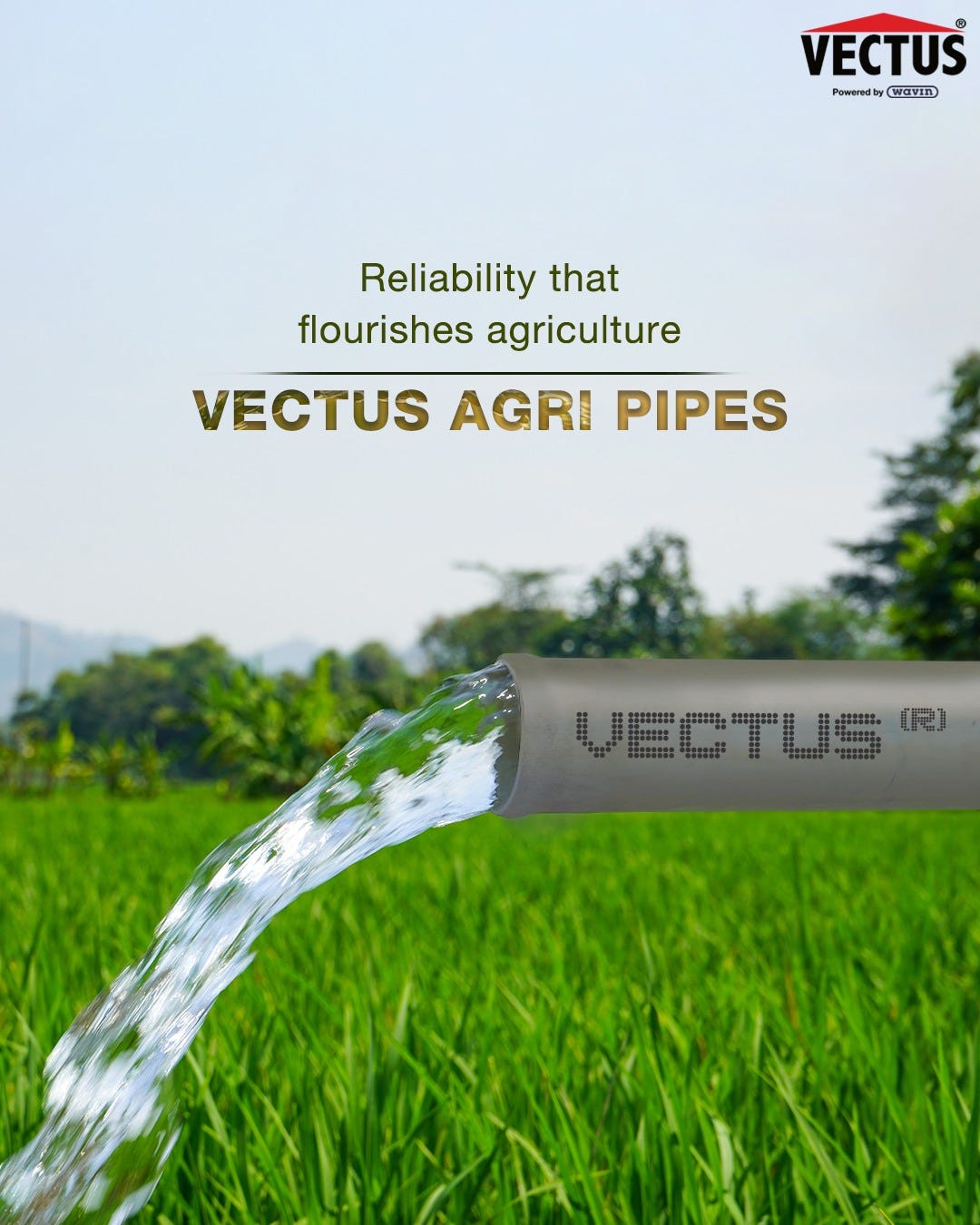 CPVC Pipes: An Ideal Choice for Plumbing Systems | by Vectus Digital ...