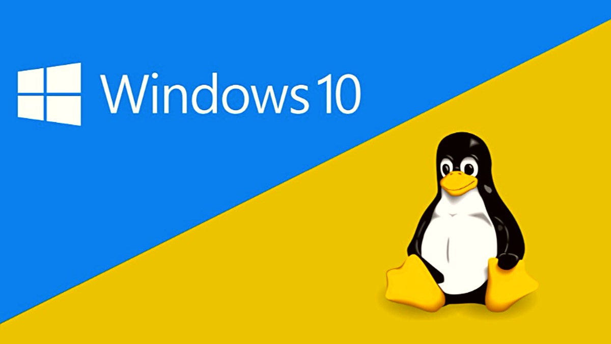 How to create a read-only MySQL user? | by NKUMBE AURELIEN (“nkaurelien ...