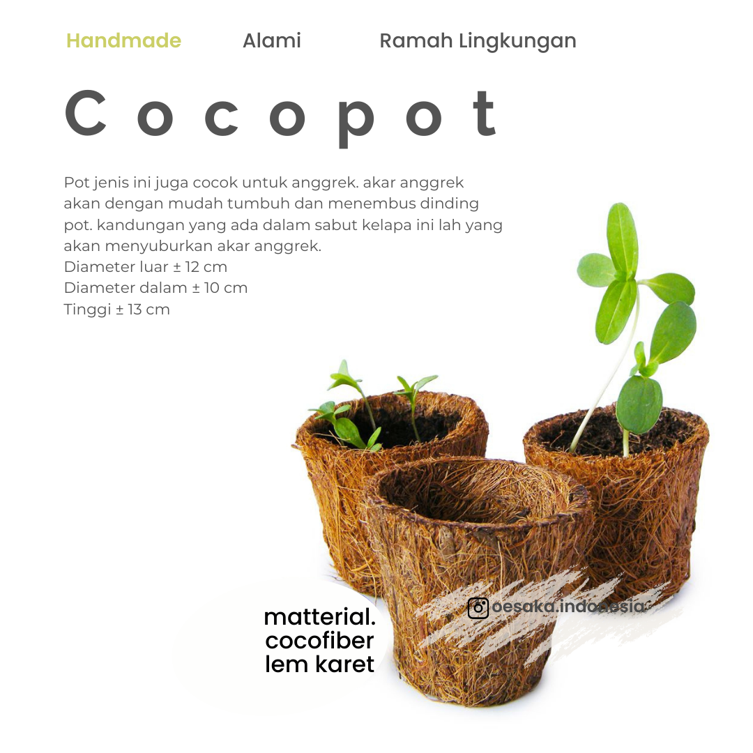 INTRODUCE COCOPEAT. WHAT IS COCOPEAT?? Cocopeat is an… | by oesaka ...