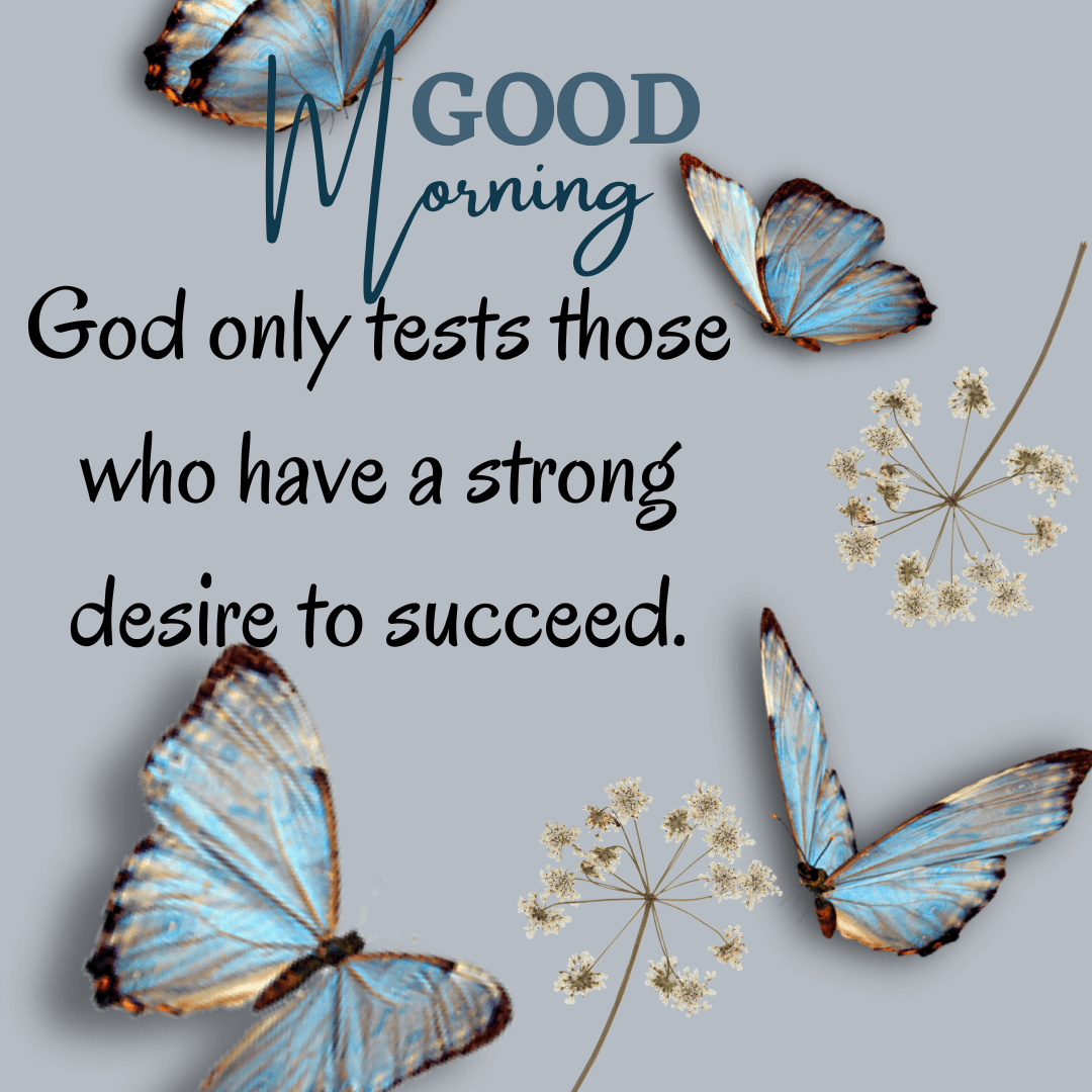 50+ Best Wednesday Good Morning quotes, wishes, messages with images ...