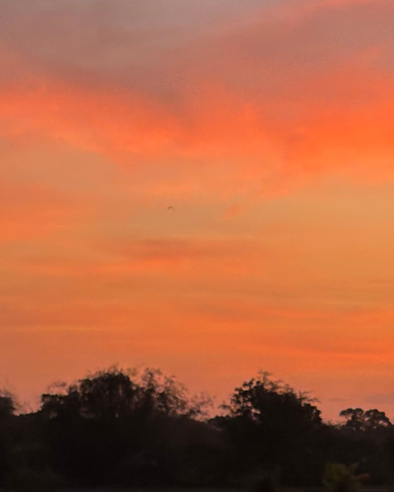 The Power Behind the 4 R’s. 4/14 Window Movements Mission to Effect ...