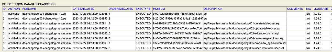 Liquibase: An Open-Source Solution for Database Versioning and Change Control | by The Tech ...