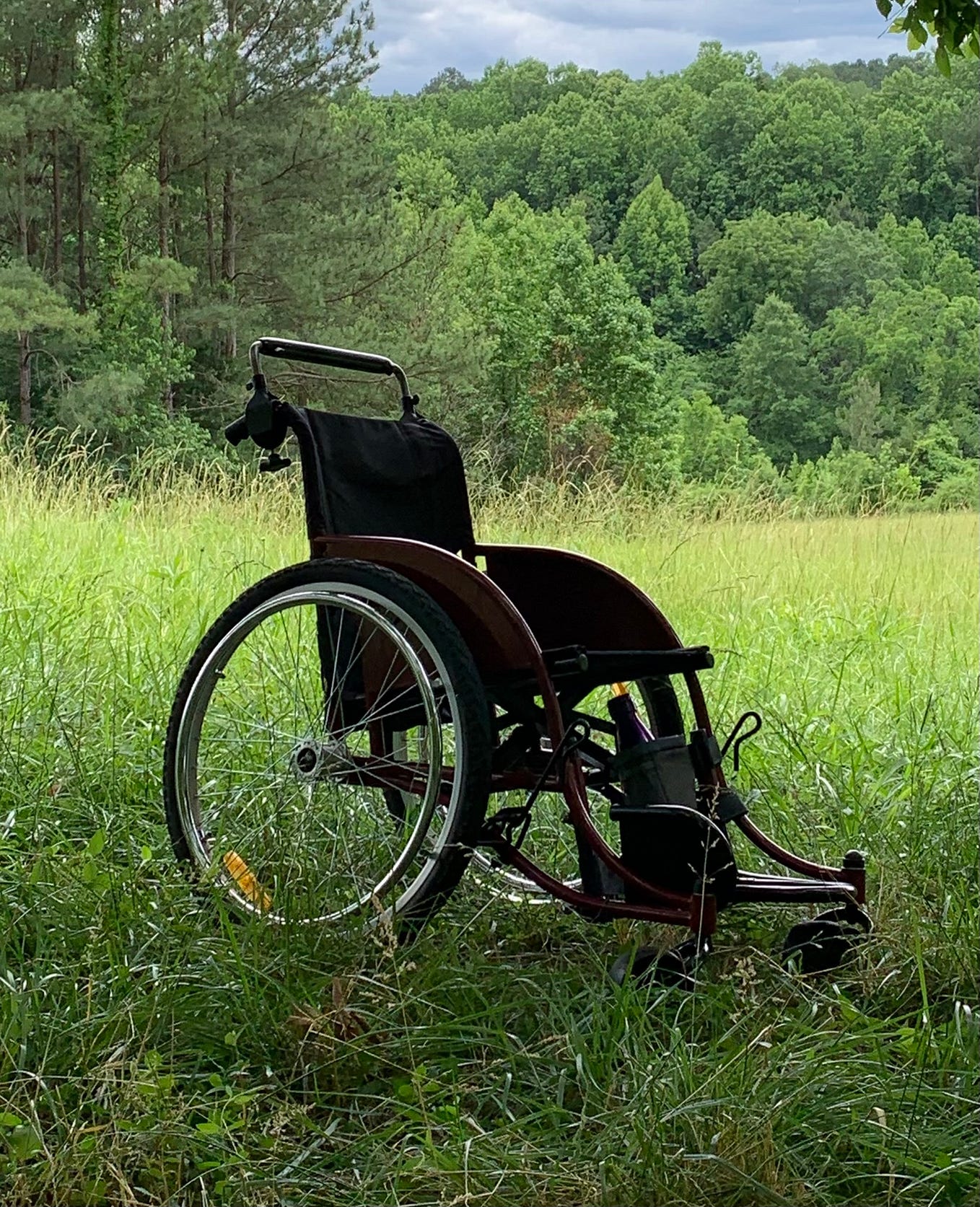 Snapshots of a Chronic Illness. Dear reader: if you live in the… | by ...