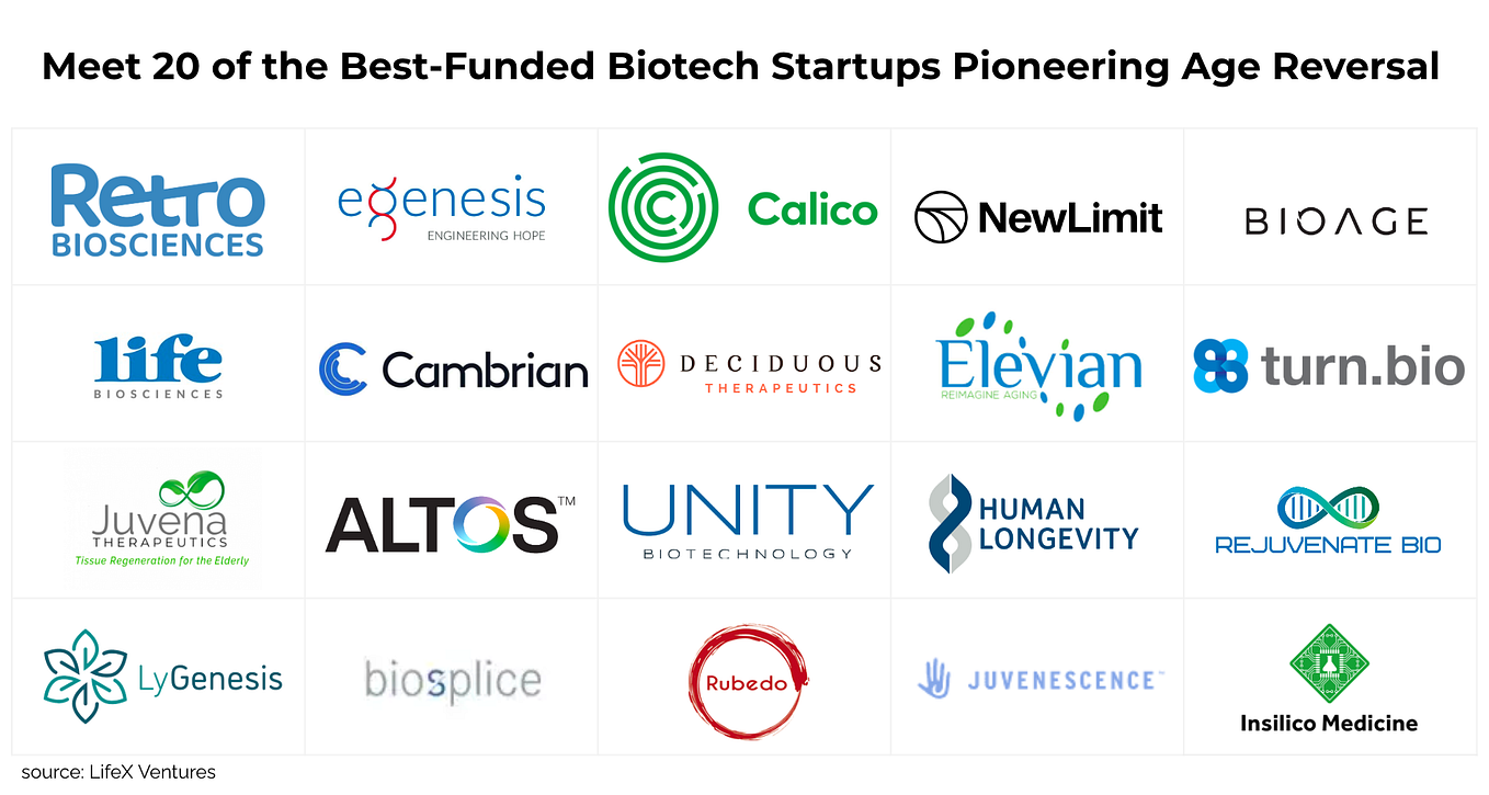 Comparing Investment Returns in 2023: Traditional Biotech vs. Software ...