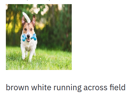 Basic RCNN Object Detection From Scratch Using Keras and OpenCV | by Zarif Azher | Dev Genius