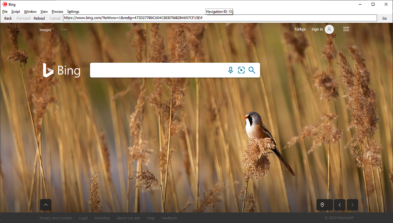 How To Use Skia Shader SkSL Shading Language Code in C++ Builder? | by Yilmaz Yoru | C++ Builder ...