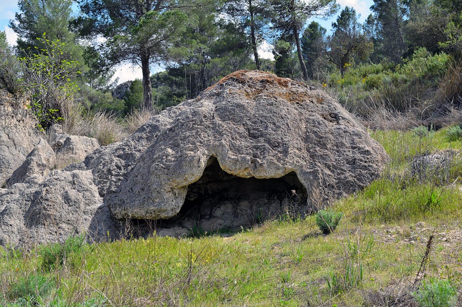 El altar de los hongos de las Lagunas de Ruidera | by Ruidera treasures ...