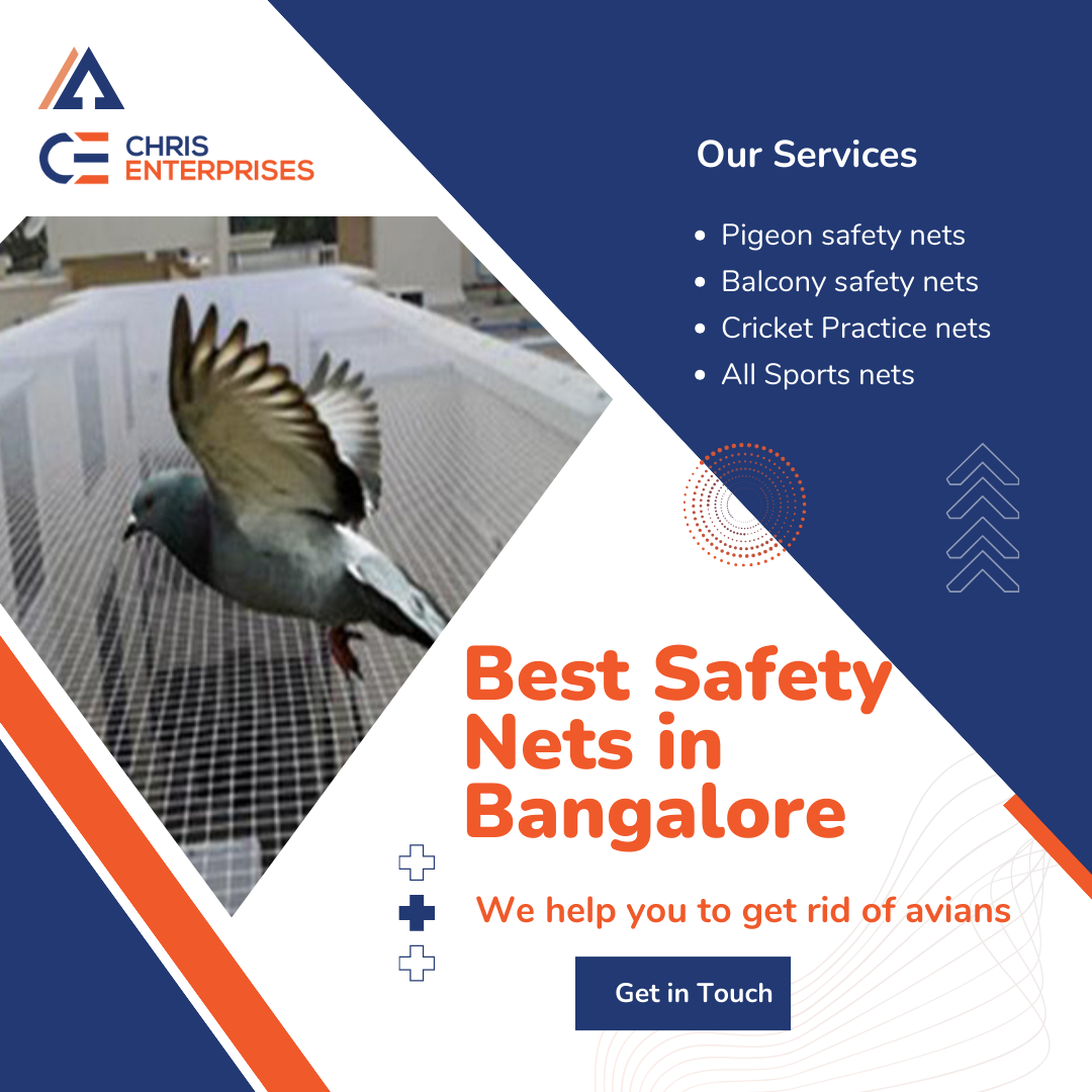 Pigeon safety nets in Bangalore. Pigeon Safety Nets in Bangalore by ...
