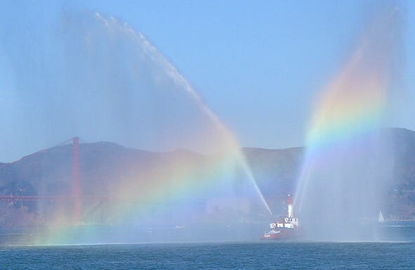 Interview with Award-winning Author J.M. Forster | by Lou Cook | Medium