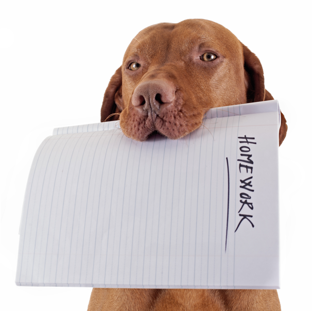 Three Ways to Automate Python via Jupyter Notebook | by Thabo Fisher ...