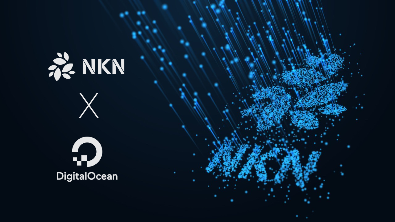 Deep Dive into NKN System Architecture | by NKN | #NKN | Medium