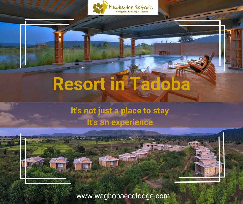 Best resort in Tadoba National Park - Waghoba Eco Lodge - Medium